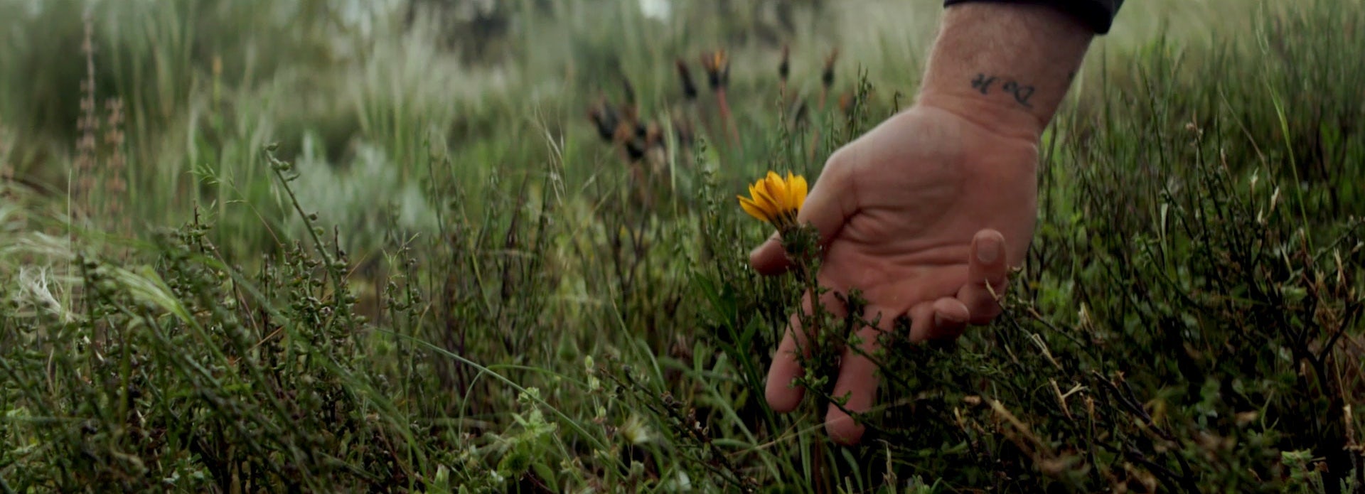 First nations stories, told by an Indigenous creator. | Genero